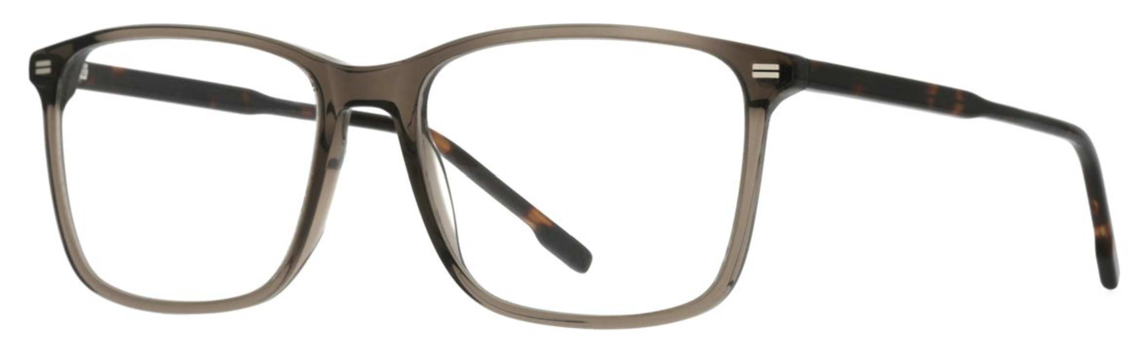 Lunettes de vue pour homme MOLESKINE Cristal brun MO1209 70 55/17 - 62672